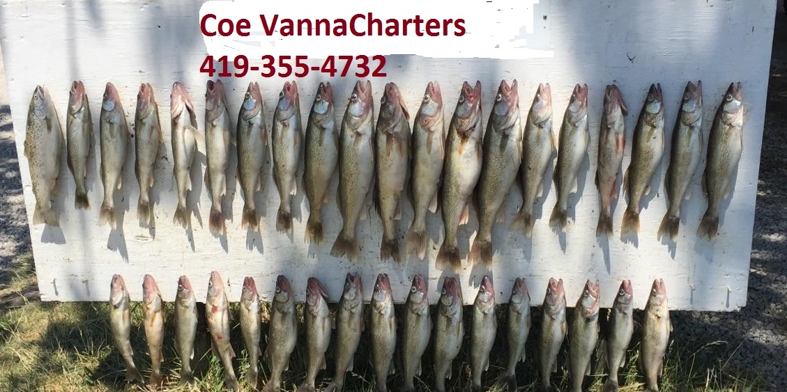 June 11 Hammer :: Coe Vanna Charters, LLC
